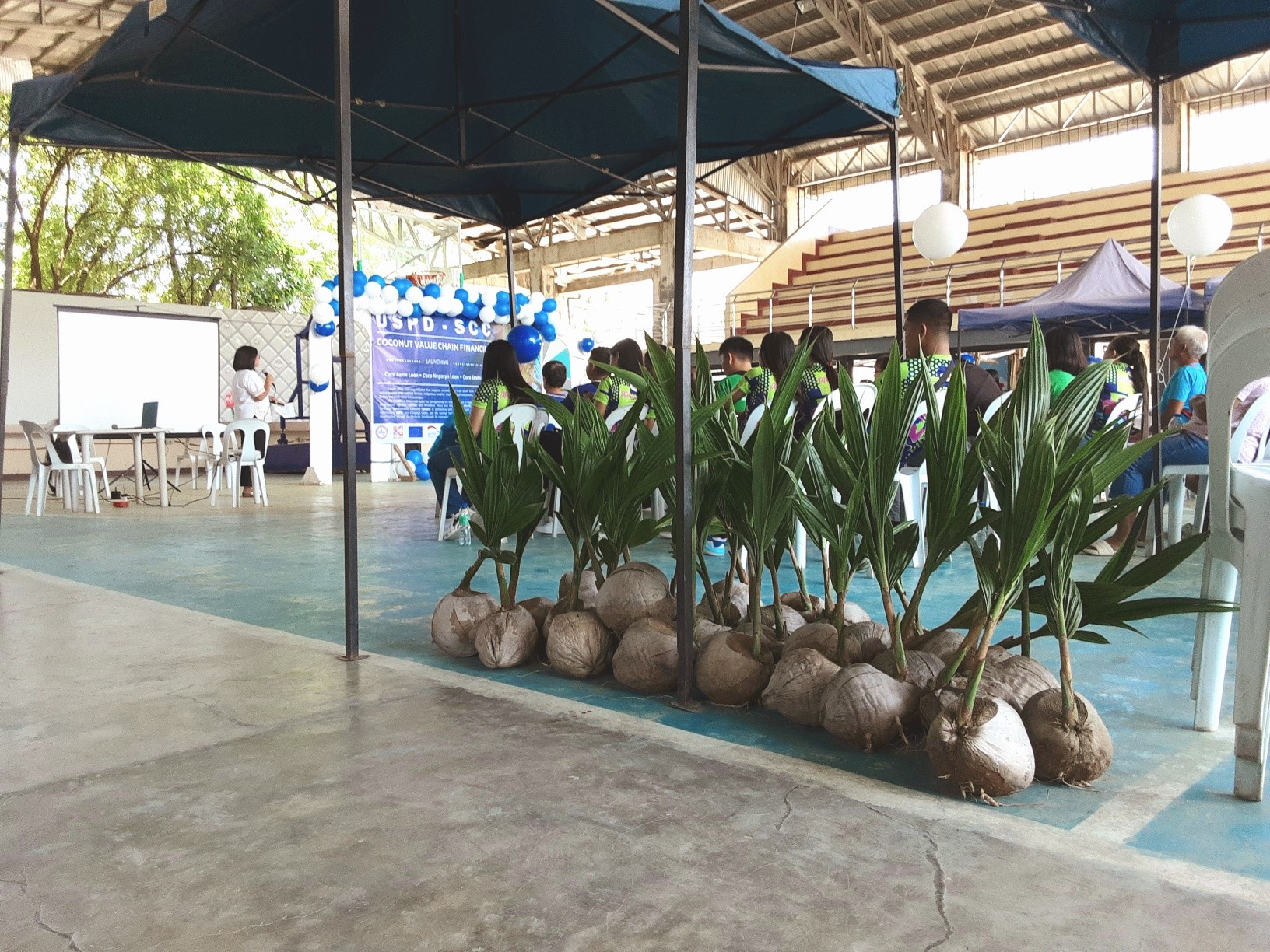 Model Cooperative Network